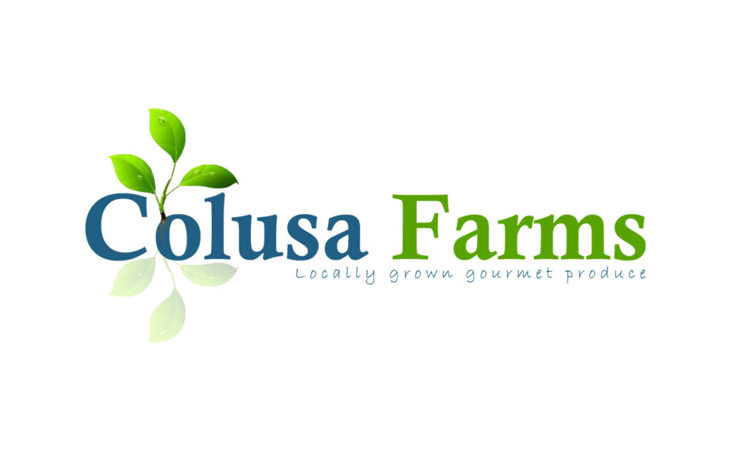 Cómo animar tu SVG con CSS: Tutorial con ejemplos | Madlab